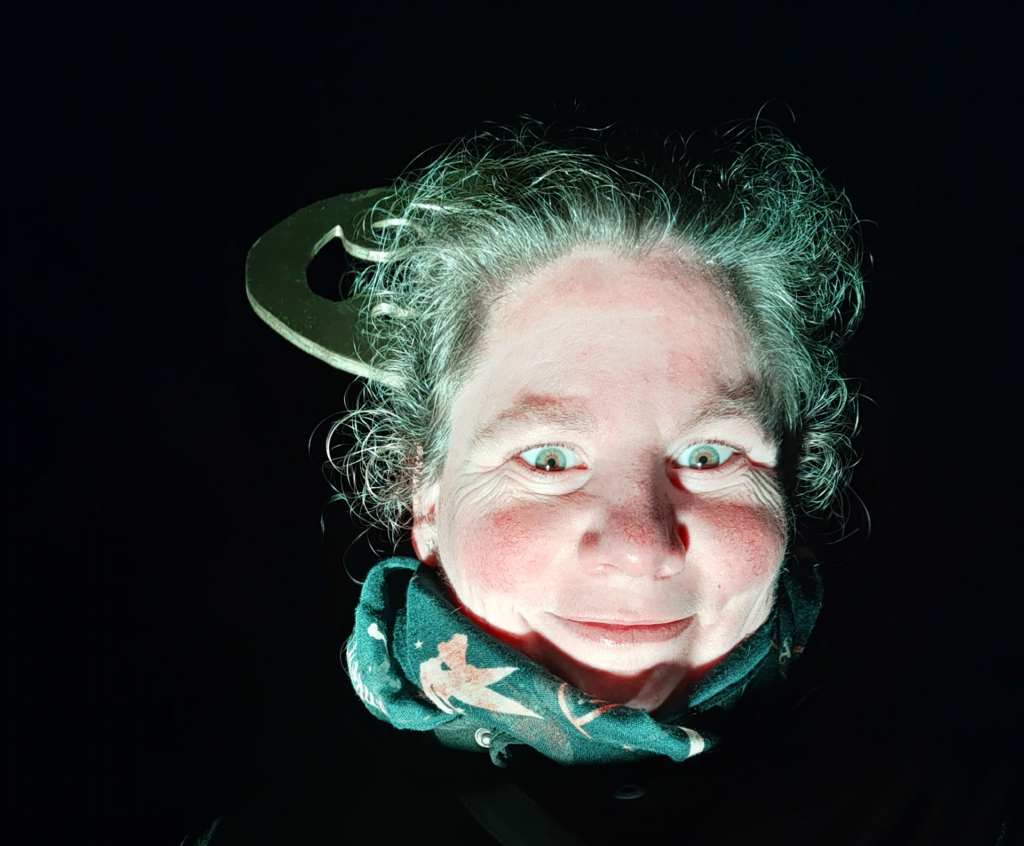 Fäctästic - FunFacts über mich - BaumSpirit